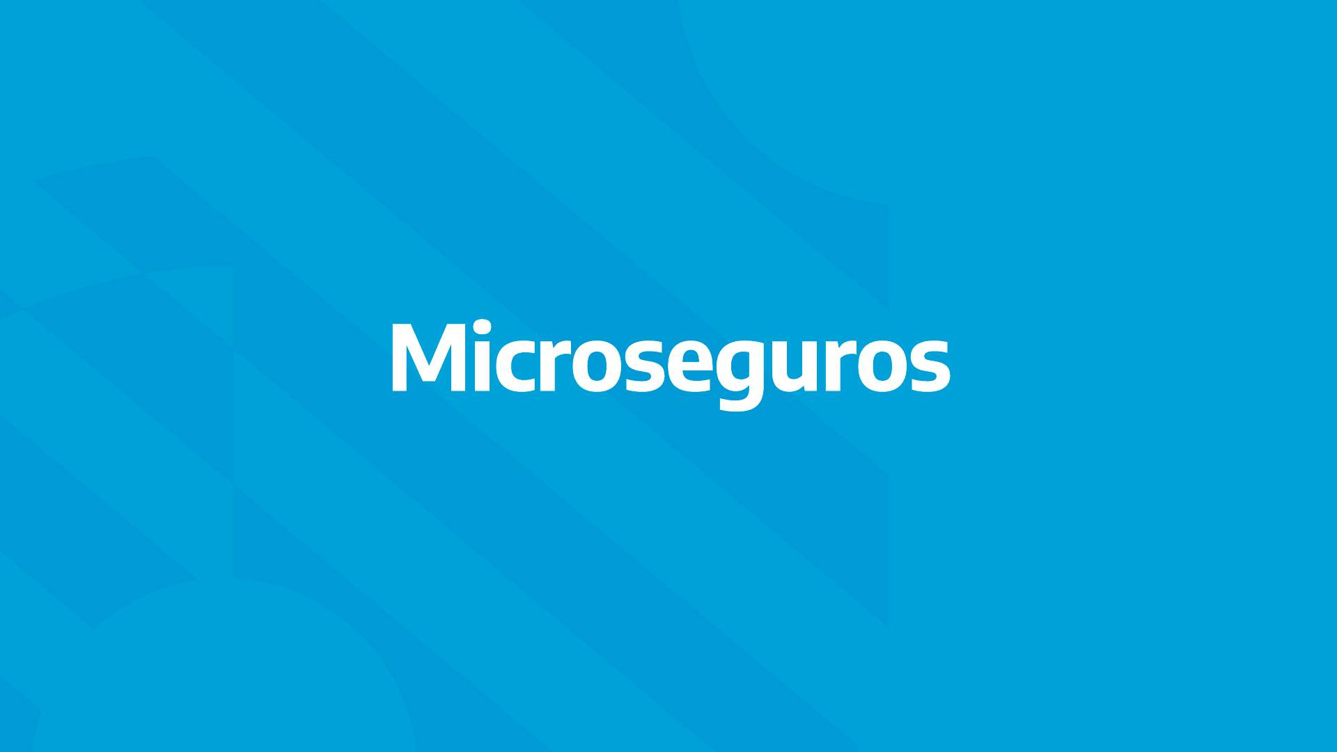 Se llevó a cabo el 10° encuentro del Grupo de Trabajo de Microseguros - 100% SEGURO