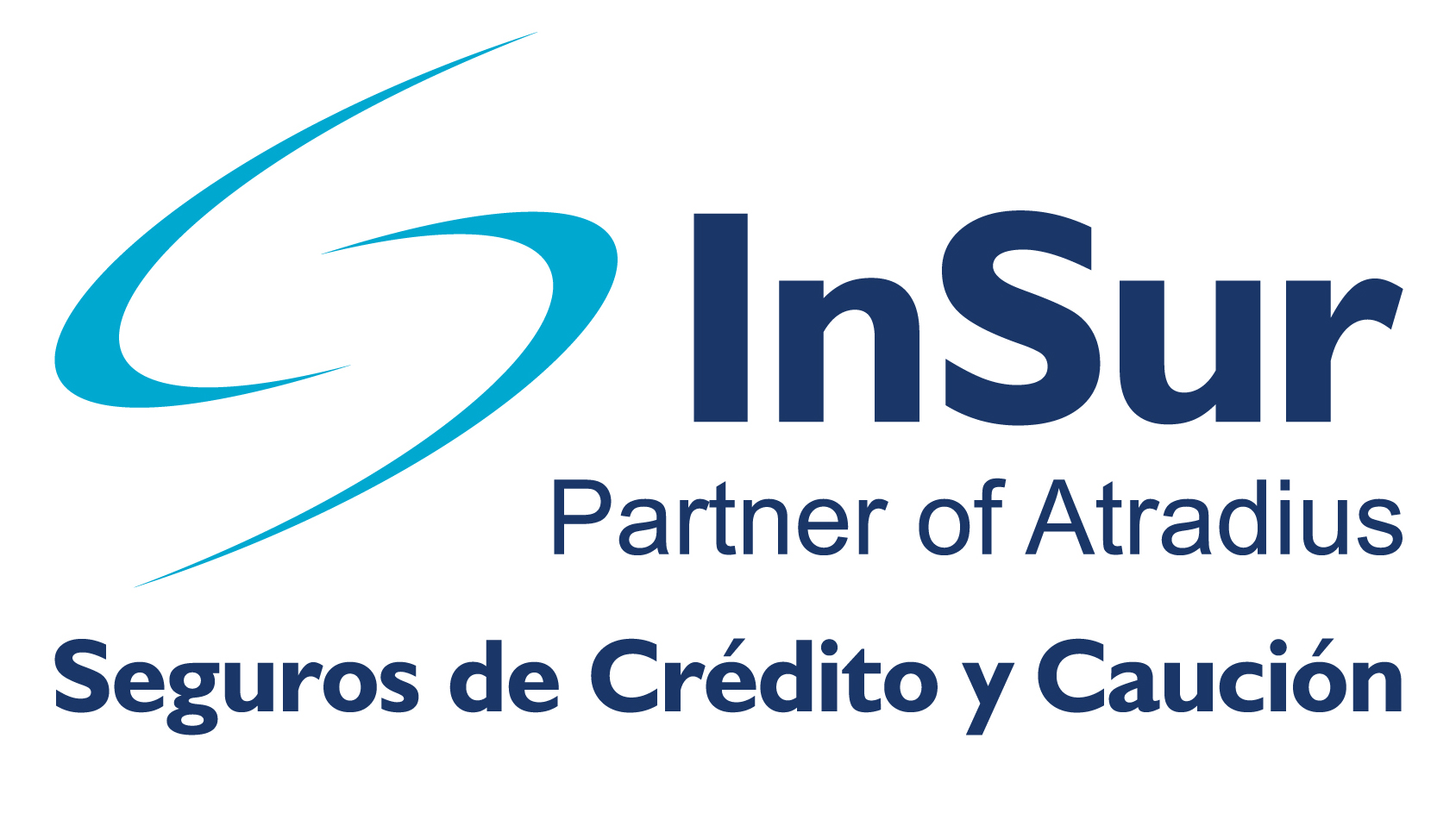 InSur lanza nueva web con más funcionalidades - 100% SEGURO